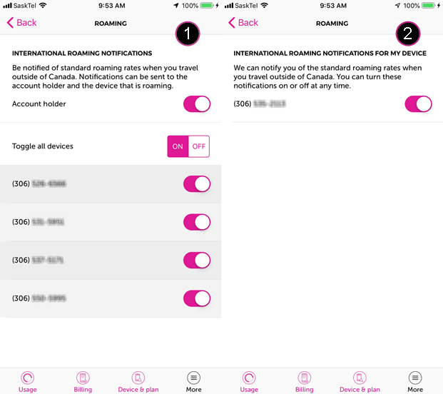 Understanding wireless authorizations in the mySASKTEL app | Support ...