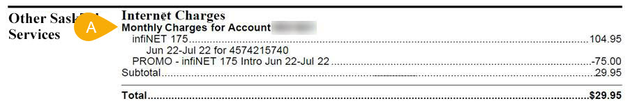 Understanding your SaskTel bill with promotion credits - Support - SaskTel