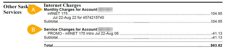 Understanding your SaskTel bill with promotion credits - Support - SaskTel