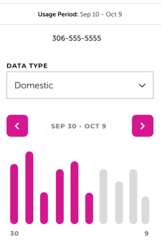 Business Viewing Real Time Data Usage For Groups And Devices In Mysasktel Support Sasktel