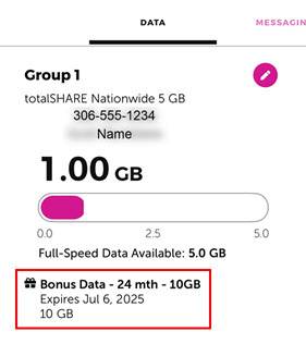 Finding your bonus data usage and details in mySASKTEL | Support | SaskTel