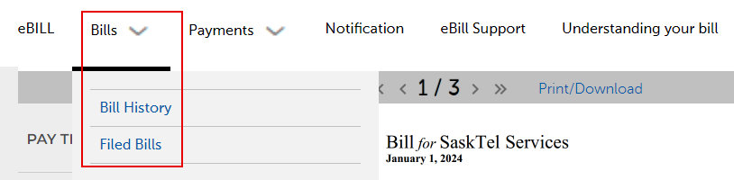Viewing your last 18 bills in eBILL | Support | SaskTel