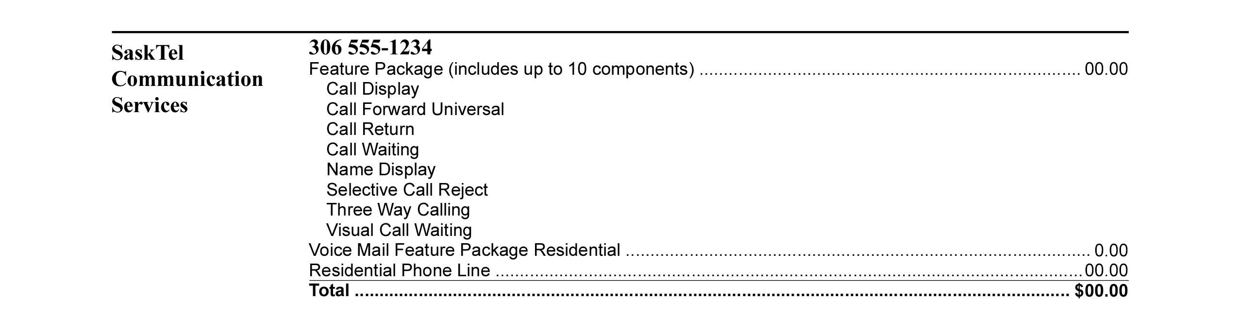 Understanding your SaskTel bill or eBILL | Support | SaskTel