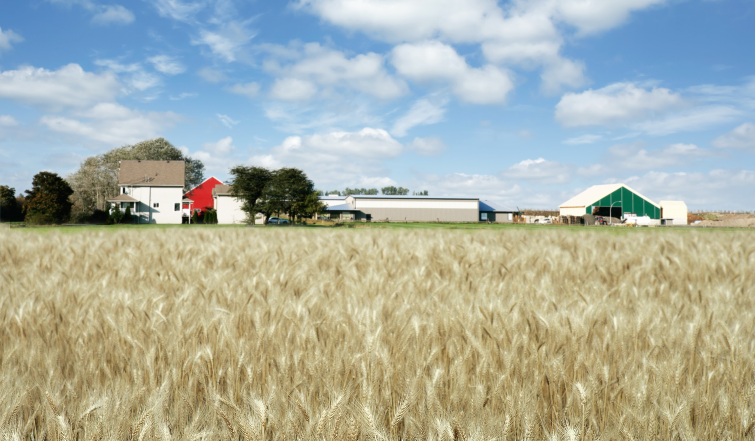 SaskTel aims to bridge the digital divide in rural Saskatchewan through ...